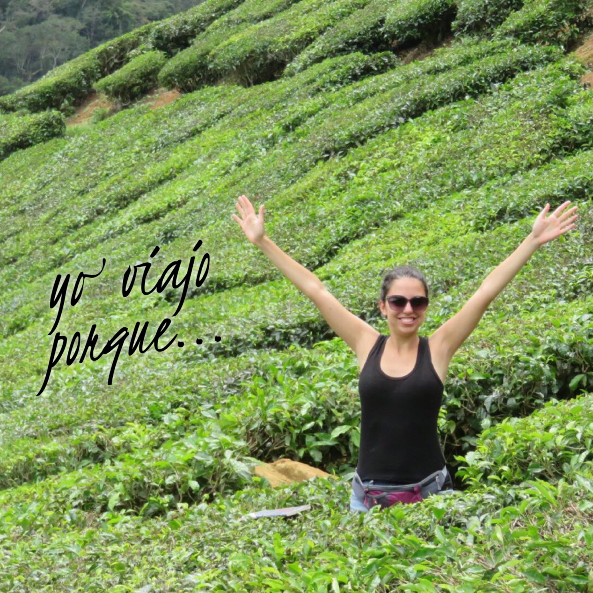 Yo viajo porque... - Viajando Lento